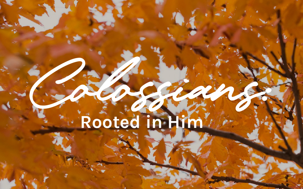 rooted in Him - Harvest - Harvest